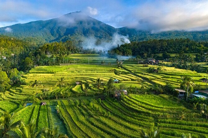 Jatiluwih Rice Terraces: A Guide to Bali's UNESCO Heritage Site