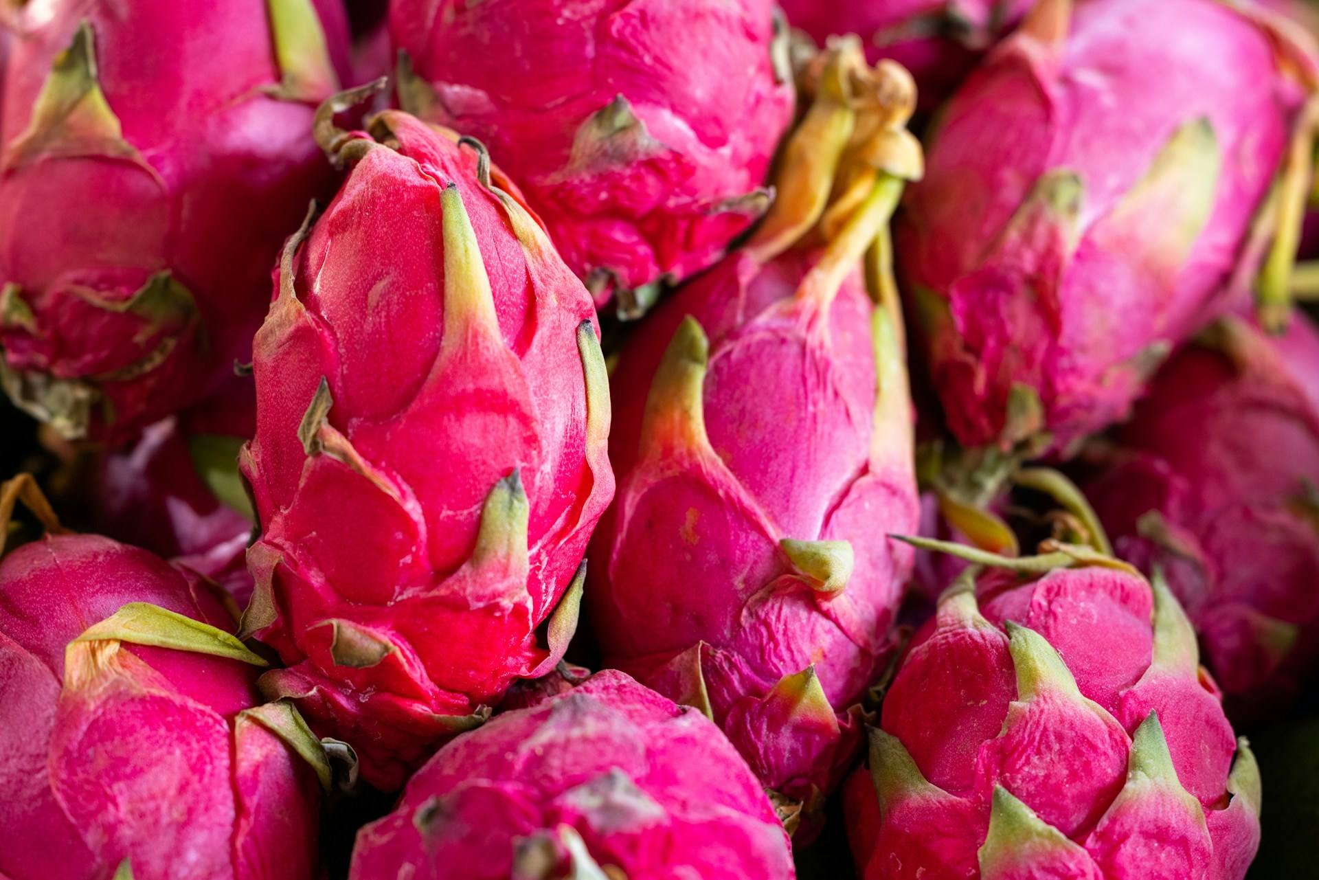 A Guide to Tropical Fruits in Bali: From Mangosteen to Salak