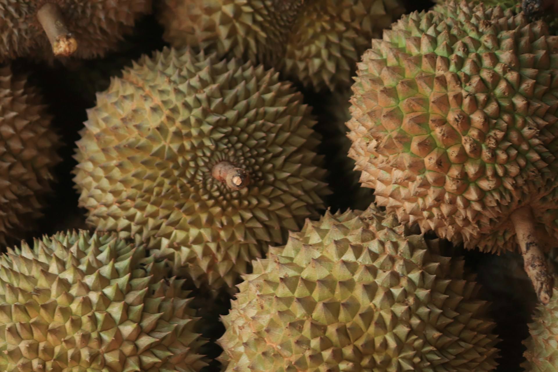 A Guide to Tropical Fruits in Bali: From Mangosteen to Salak