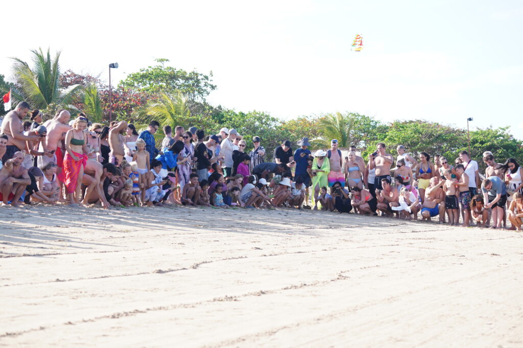 Merusaka Nusa Dua Hosts a Heartwarming Sea Turtle Release in Bali